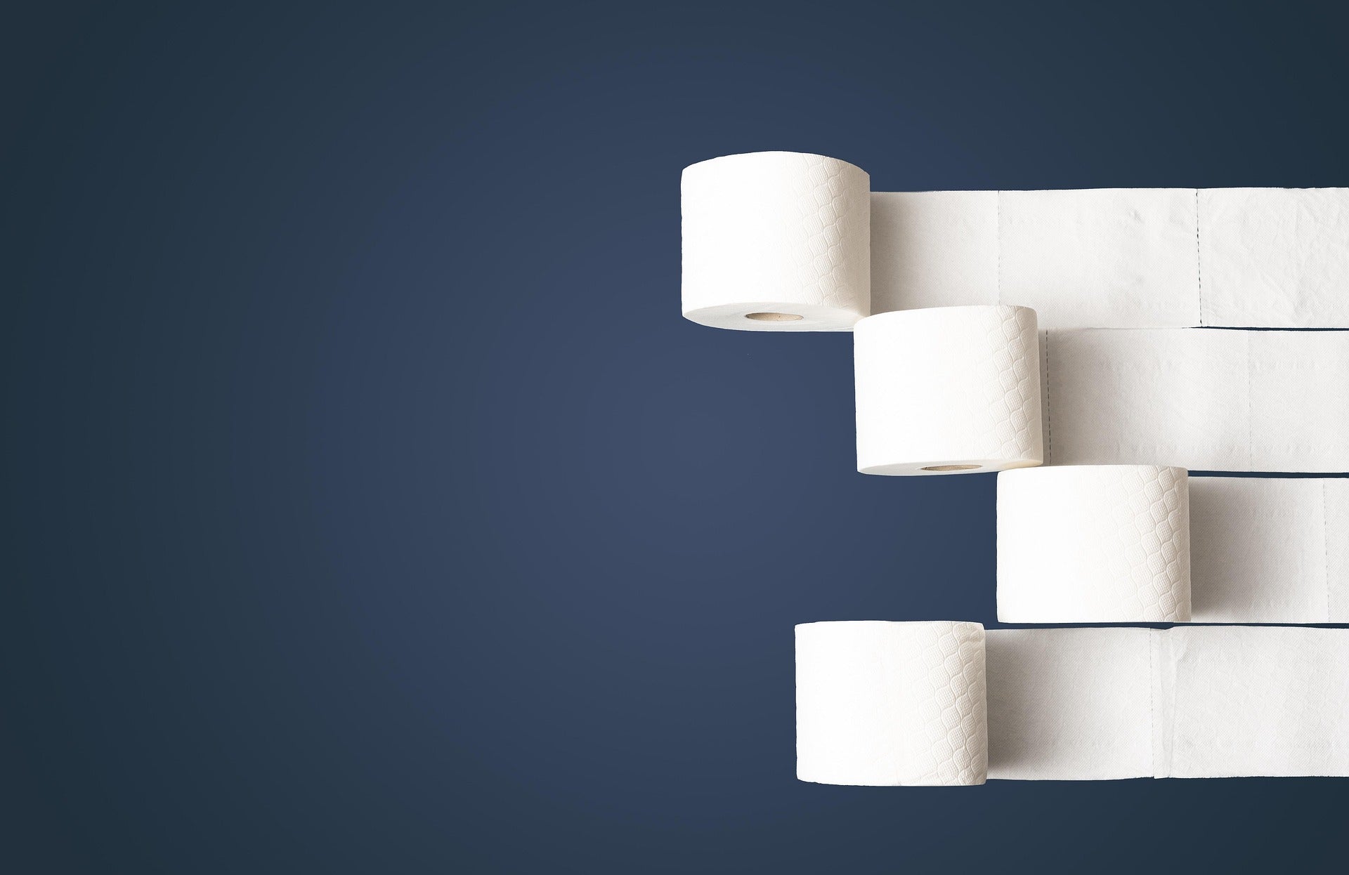 Toilet Paper – Got2Try